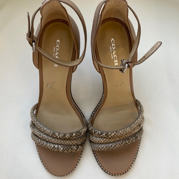 Coach | Shoes | Coach Python Print Heel | Poshmark